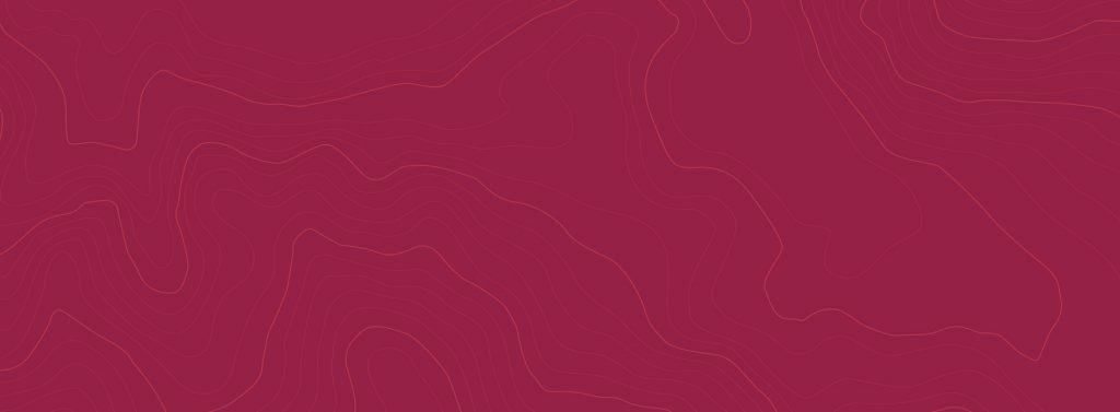 Data Connectivity | Natilik