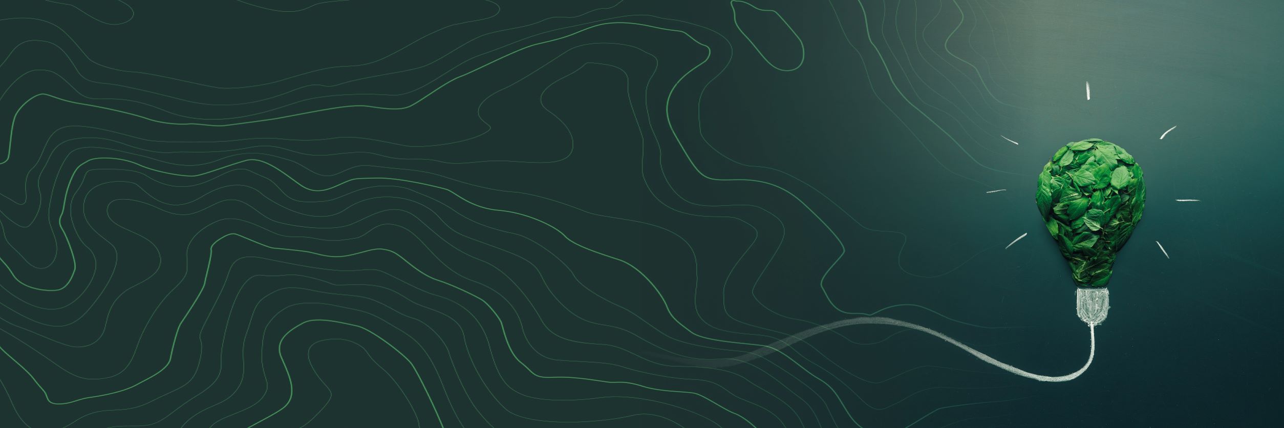 Making sustainable technology choices. | Natilik