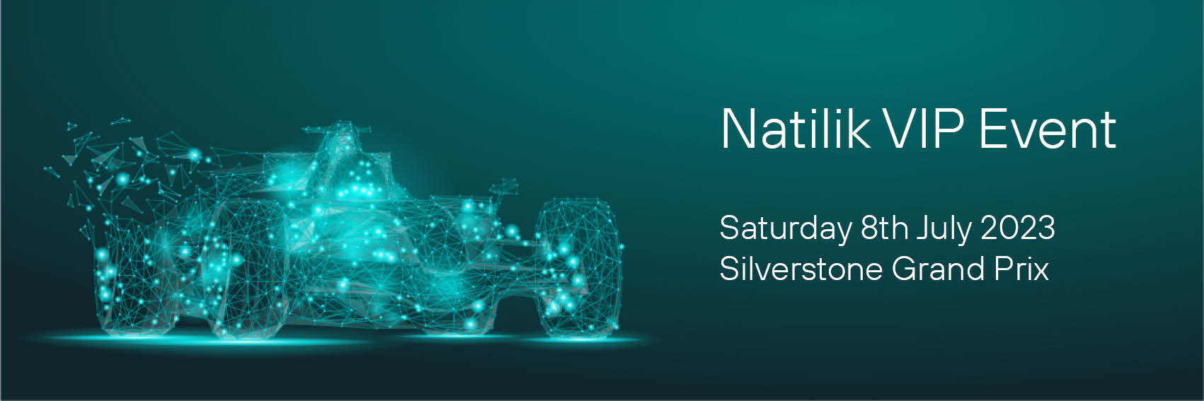 A VIP Event at the Silverstone Grand Prix | Natilik